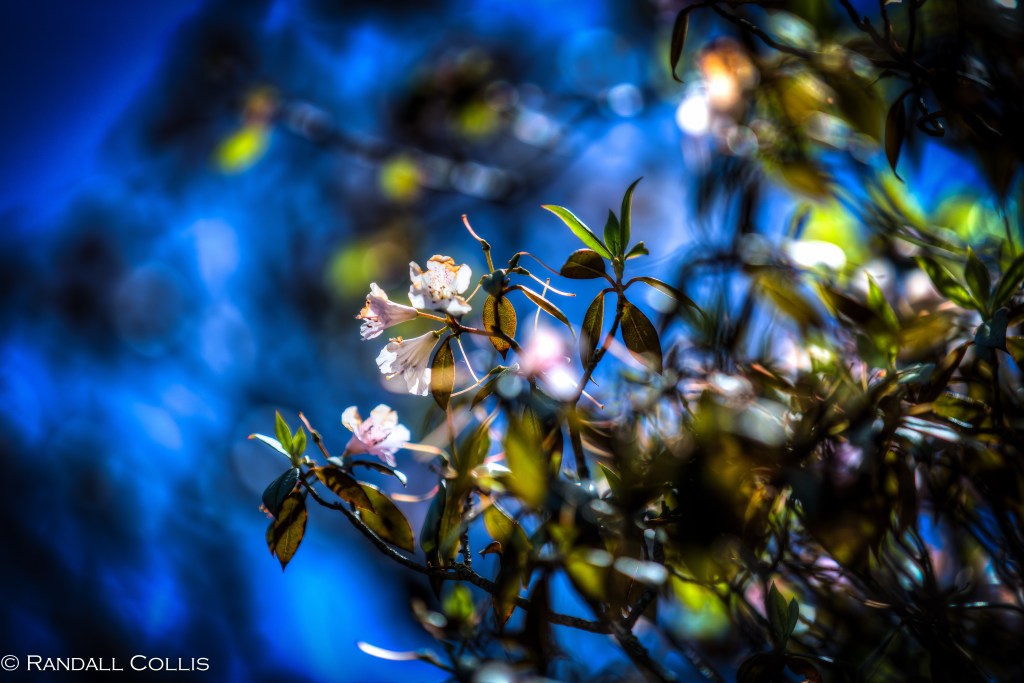 Positive Envy – Global Sojourns: Photography & Philosophy