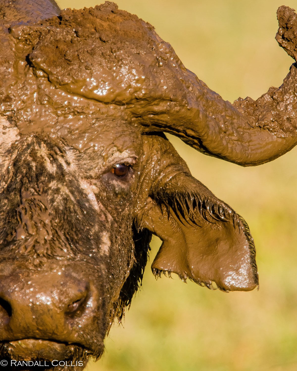 Being Time in Kenya with Heidegger – Global Sojourns: Photography ...